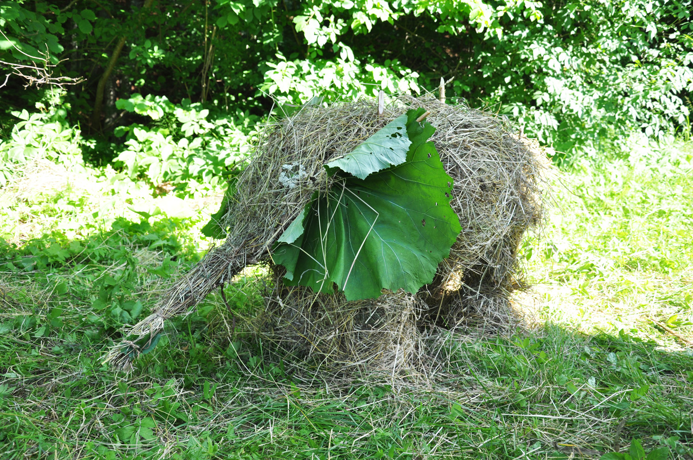 Nature Art Workshop Vetr Baji Nature Art Workshop Vetr Baji